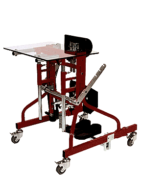 Shop Sit-to-Stand Standers